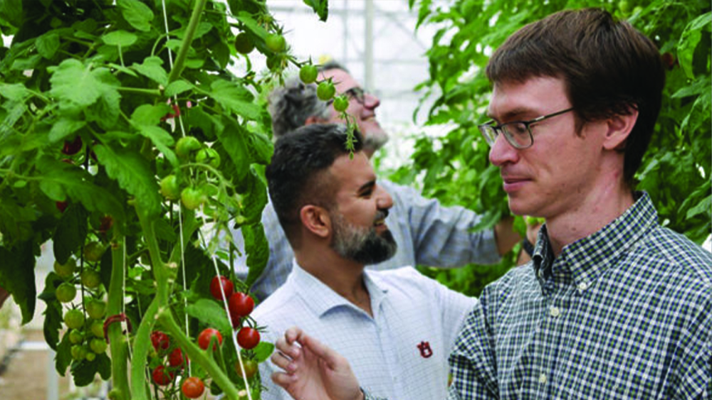 Biosystems: Researchers reimagine controlled environment agriculture ...